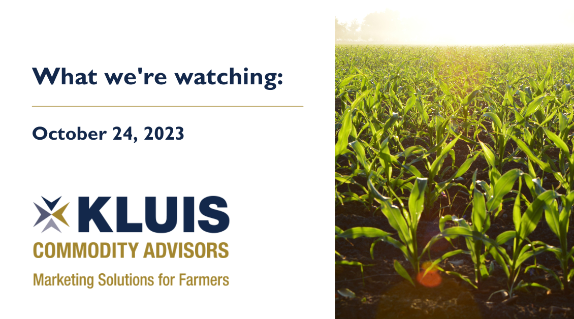 Soybean Options - Kluis Commodity Advisors
