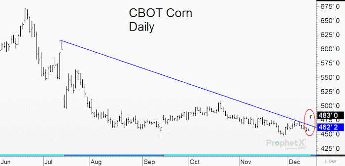 Chart of the Week: Corn - Kluis Commodity Advisors