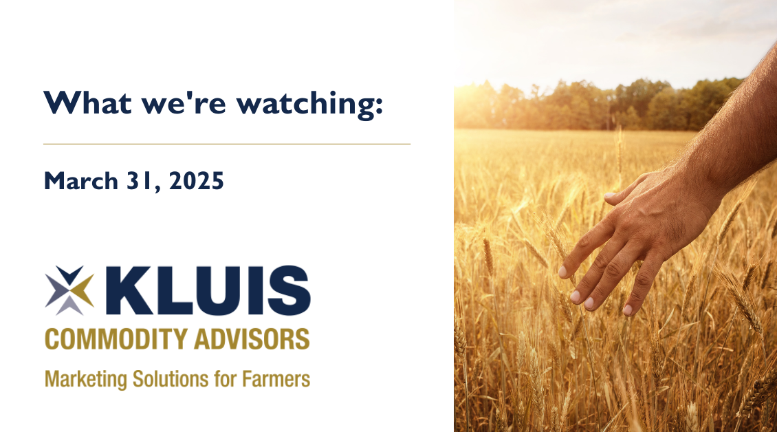 Corn Belt - Kluis Commodity Advisors